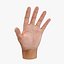 3ds Max Hand Rigged Poses Skin
