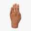 3ds Max Hand Rigged Poses Skin
