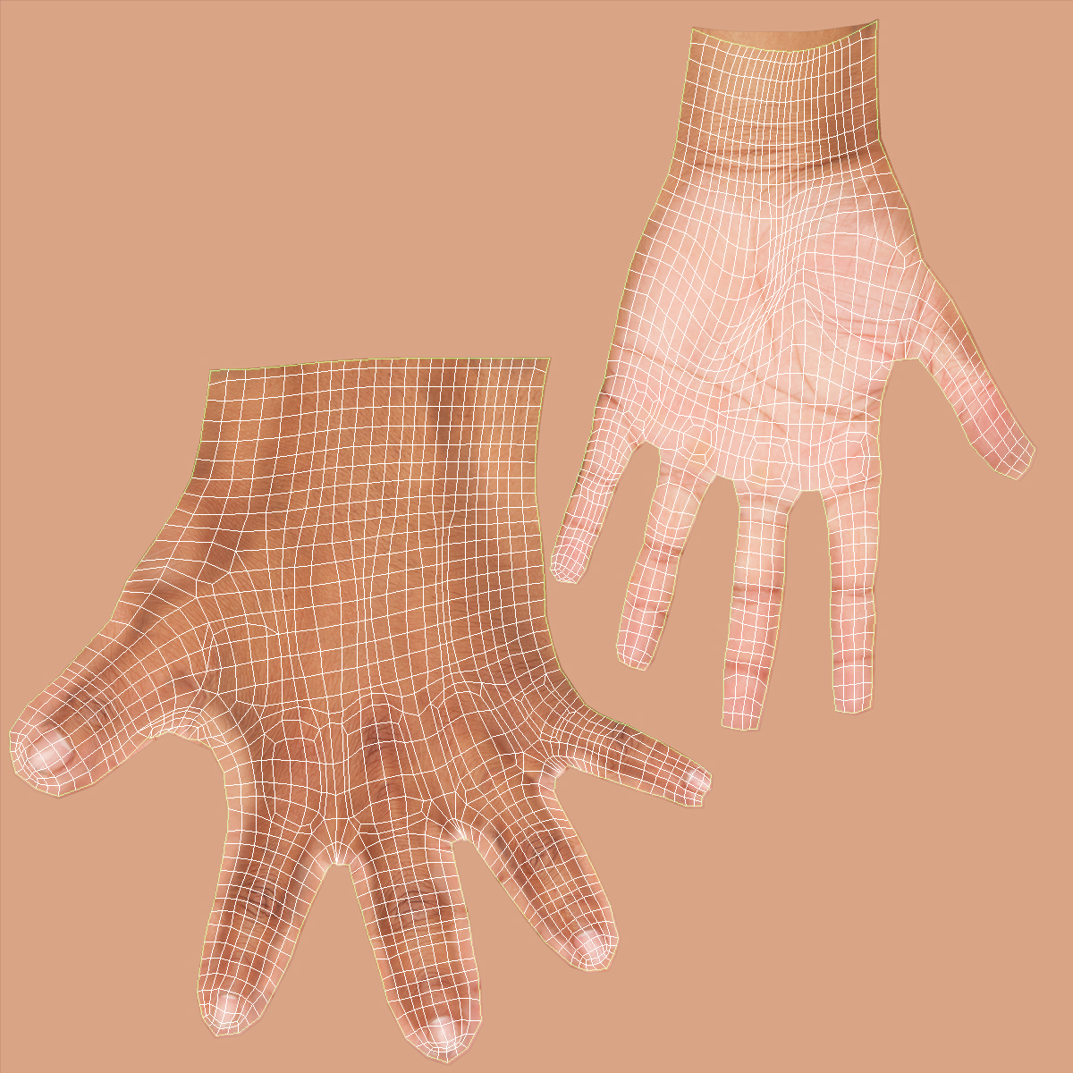 3ds max hand rigged poses skin