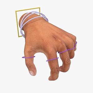 3d Hand Rigged Poses Skin