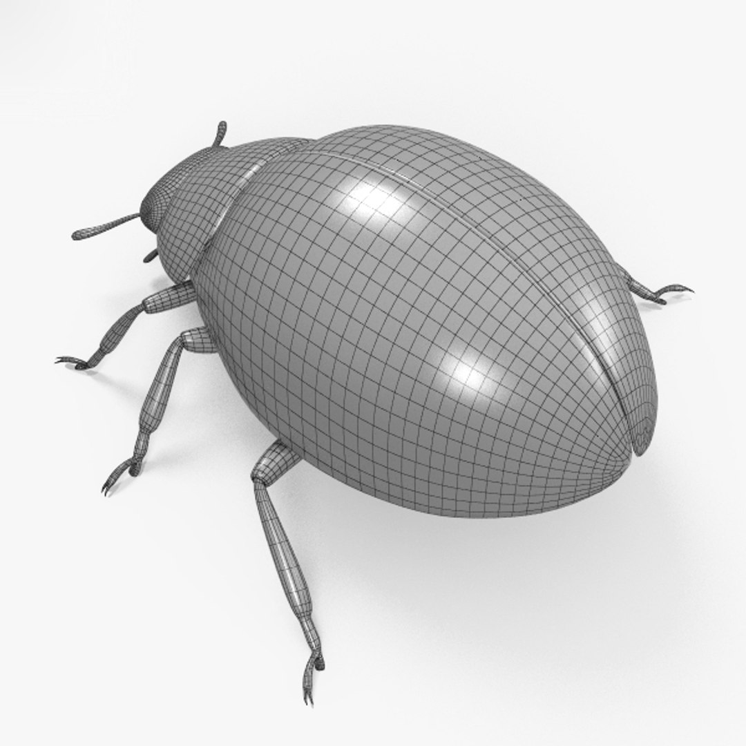 Ladybird Lady 3D Model - TurboSquid 1369950