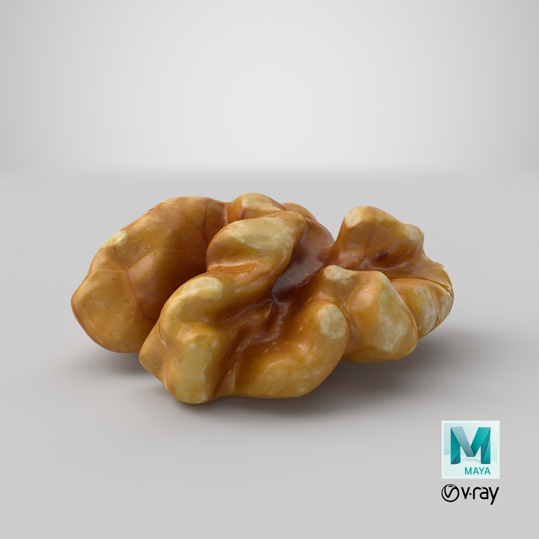 Walnut 3D model - TurboSquid 1744654