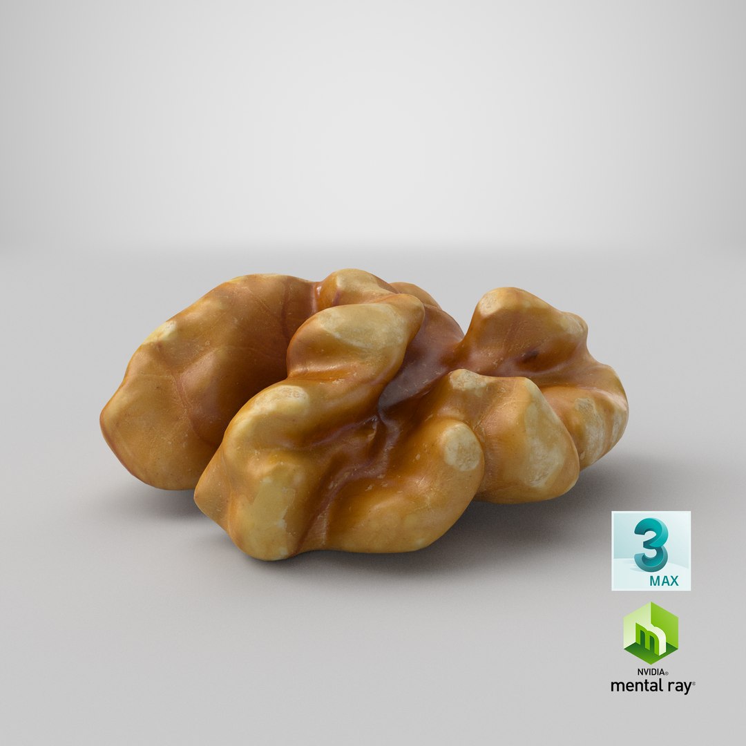 Walnut 3D model - TurboSquid 1744654