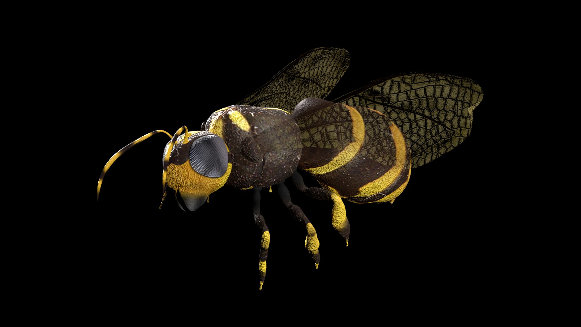 3D Bee Rigged Model - TurboSquid 1656671