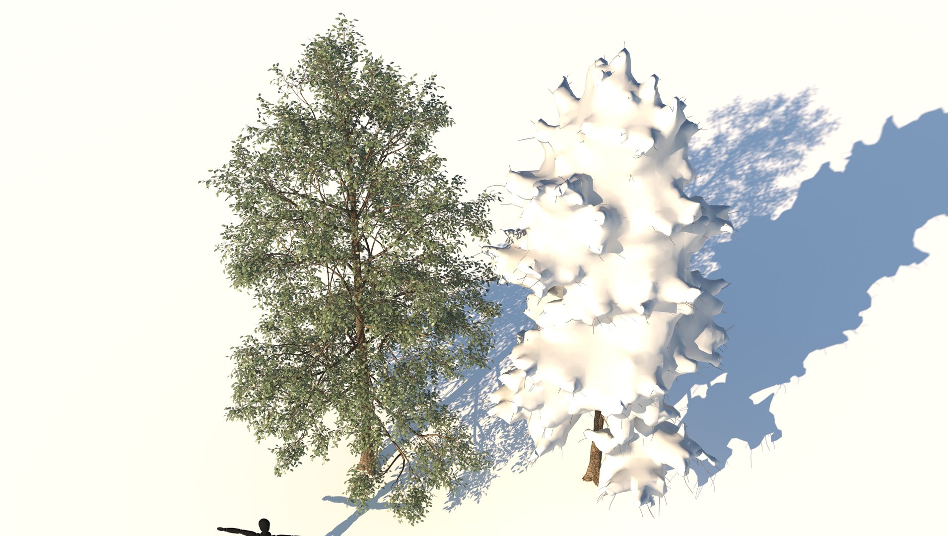 3D birch tree model - TurboSquid 1676630