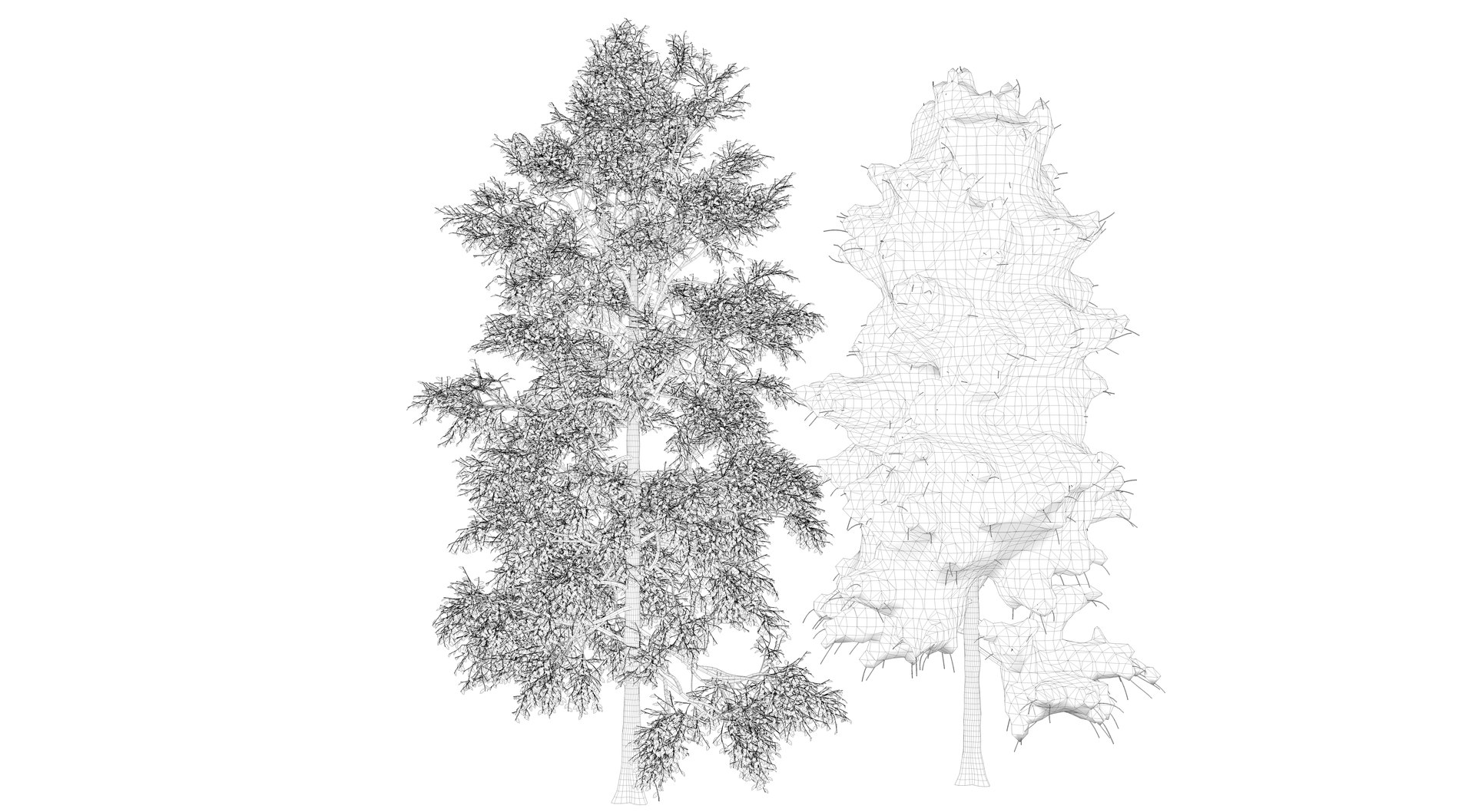 3D birch tree model - TurboSquid 1676630