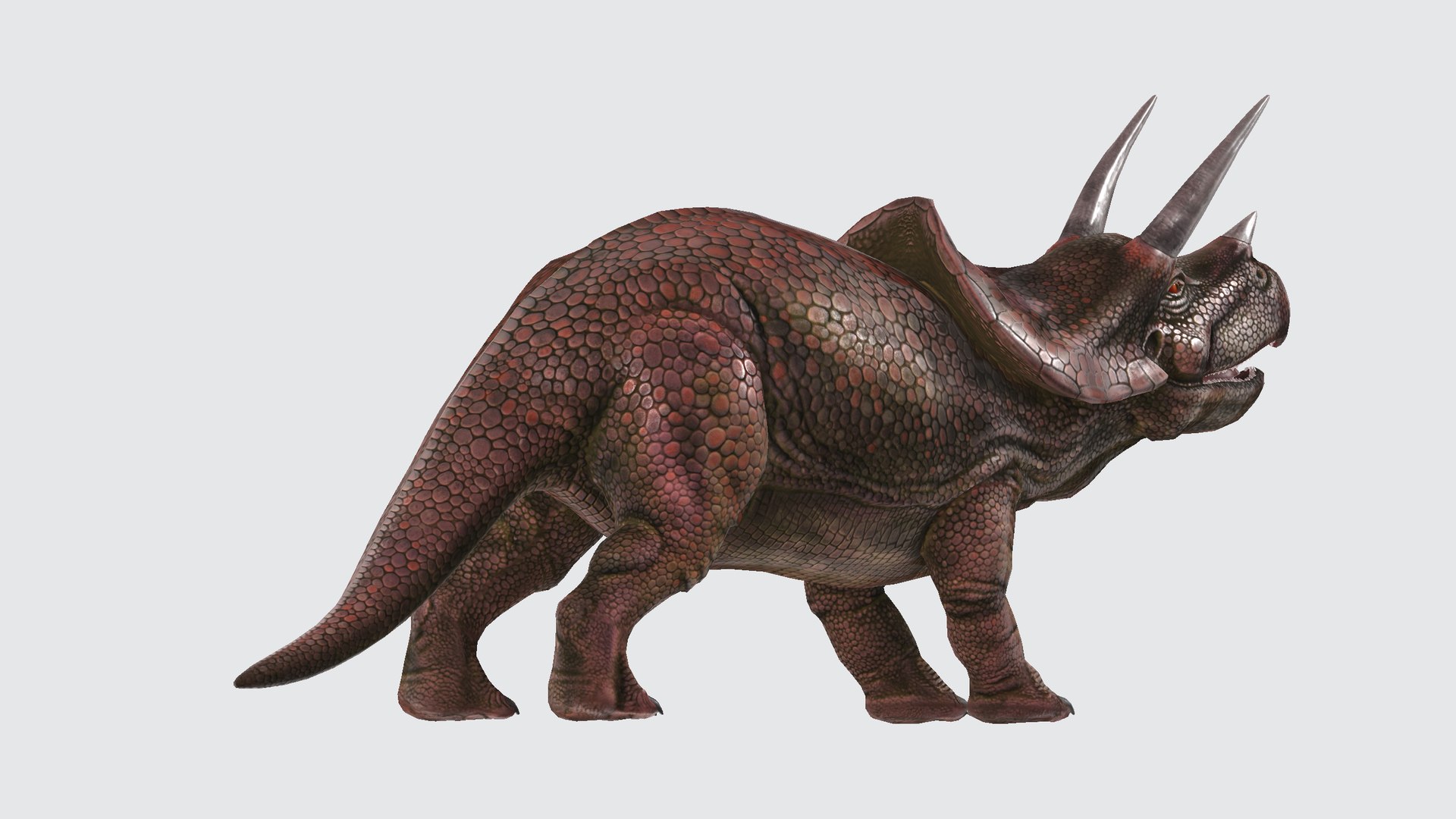 Triceratops 3D Model - TurboSquid 2346626