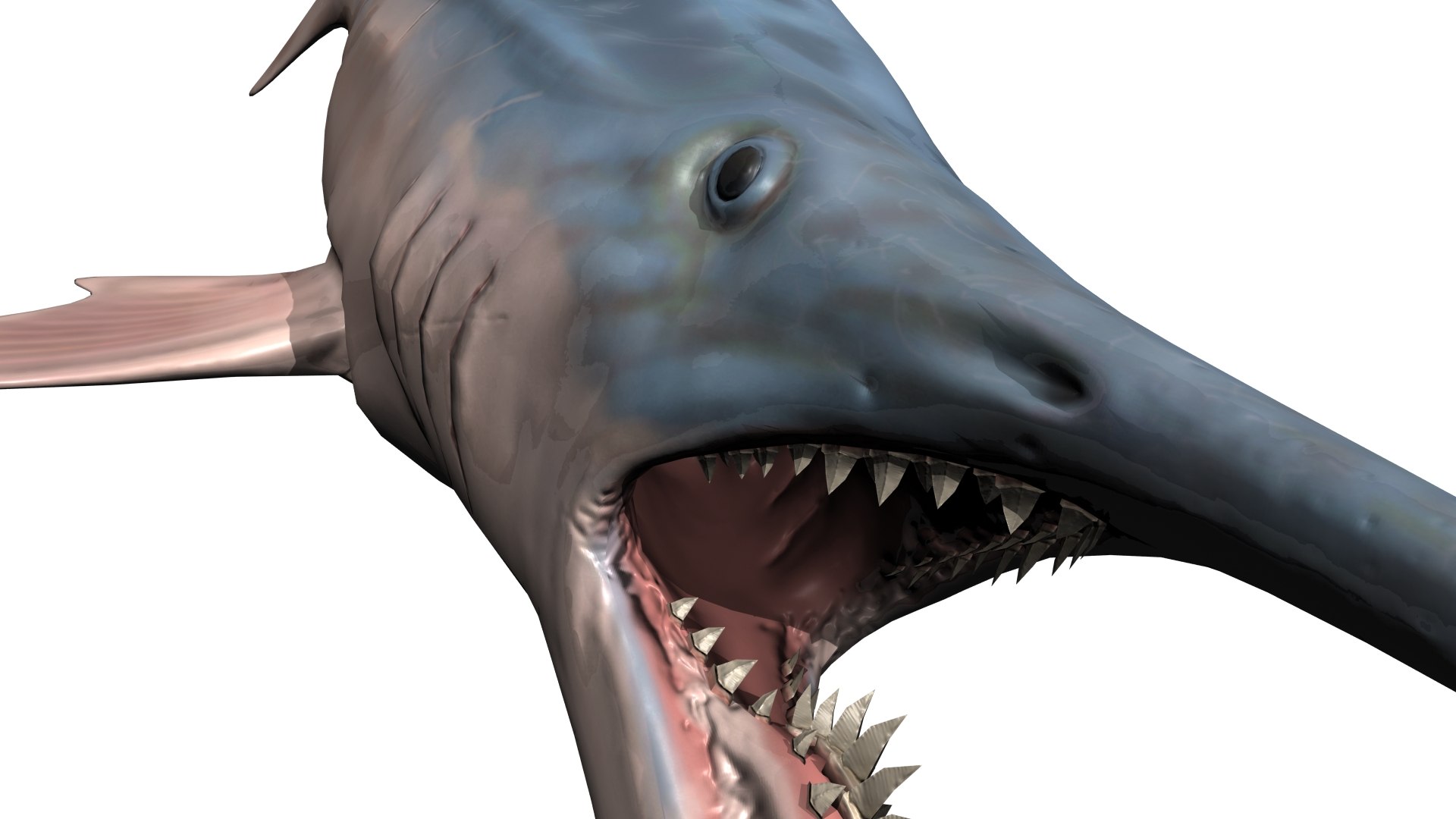 Ancient Shark Helicoprion 3d Obj