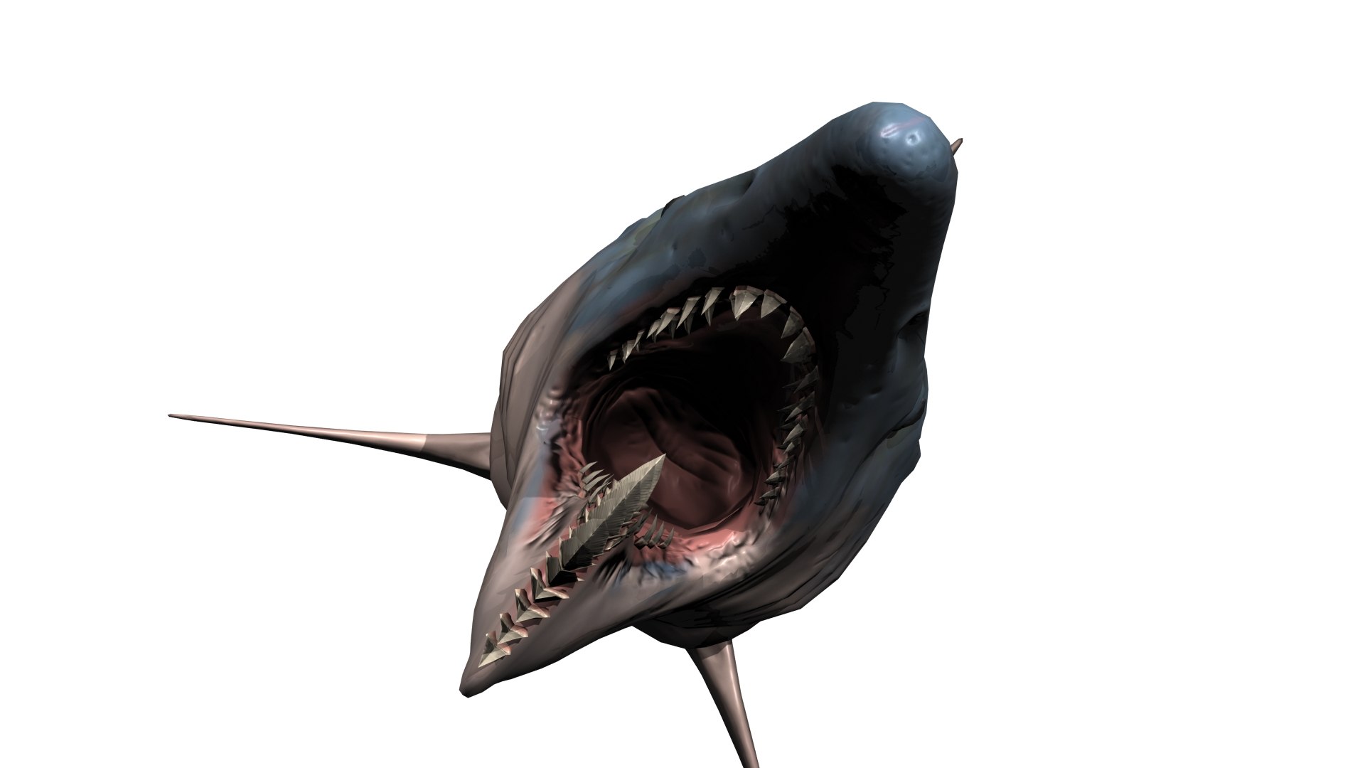 Ancient Shark Helicoprion 3d Obj
