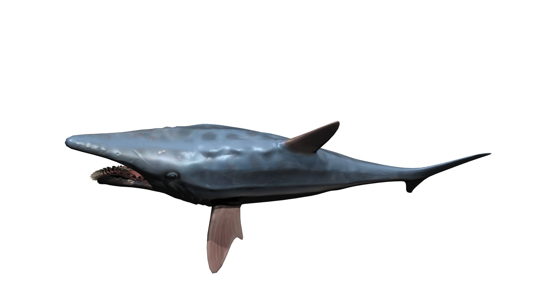 Ancient Shark Helicoprion 3d Obj