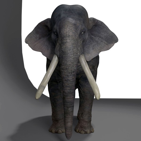 3d elephant real zbrush