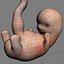 3d Model Fetus Embryo Development Newborn Baby