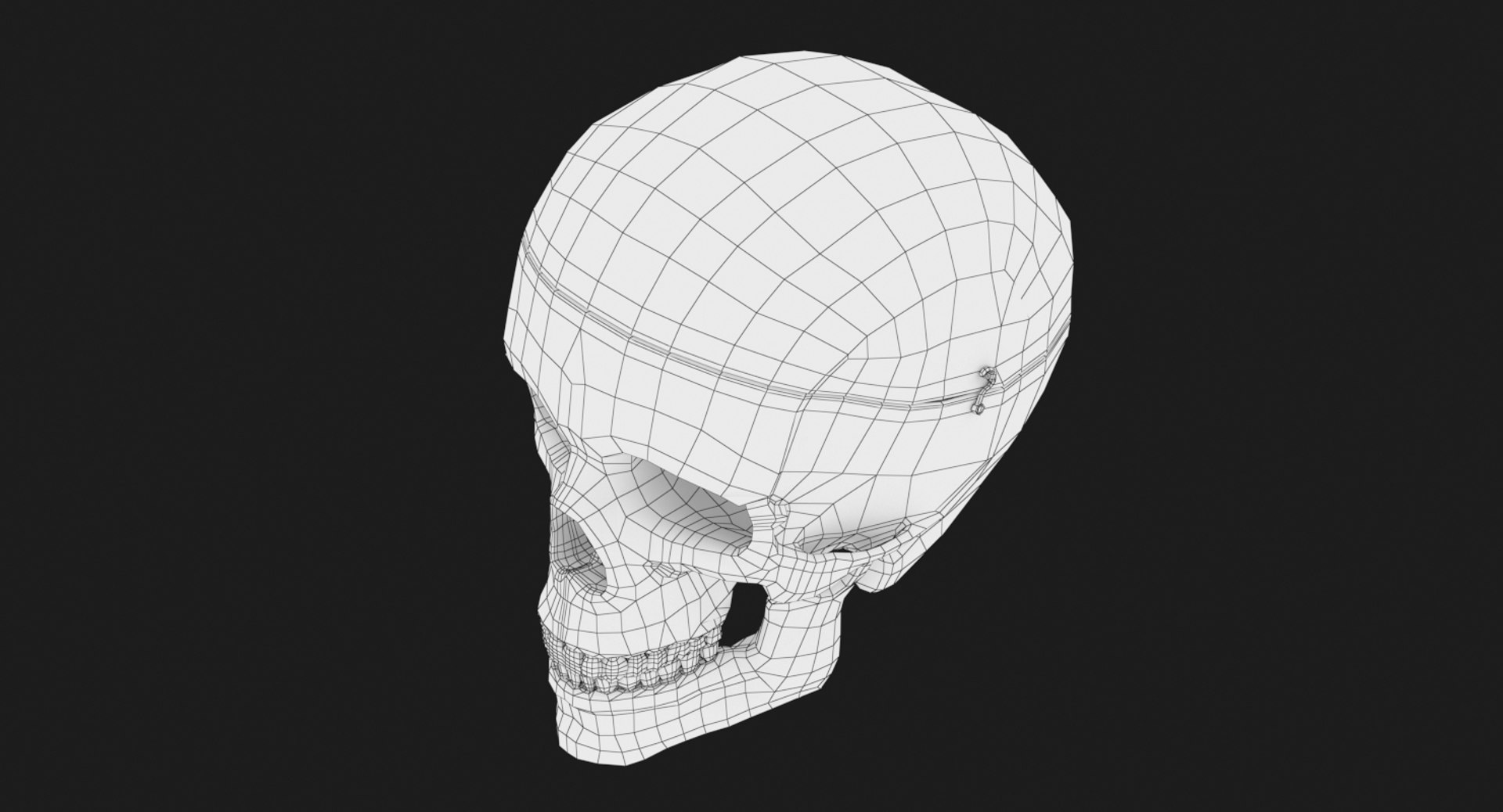 Realistic Skull Anatomical 3D Model - TurboSquid 1421130