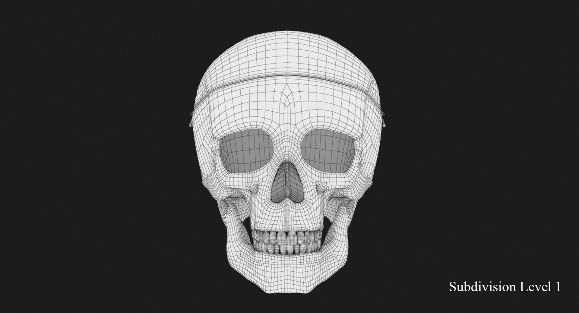 Realistic Skull Anatomical 3D Model - TurboSquid 1421130