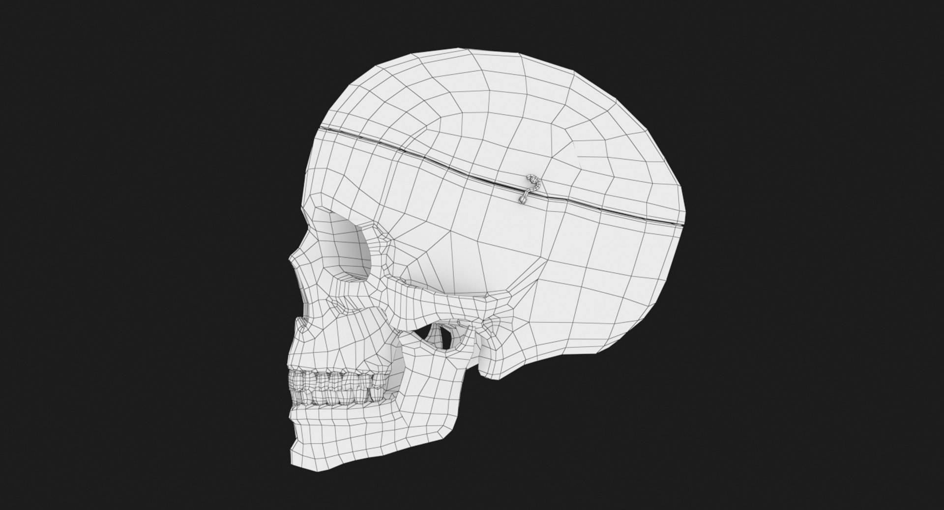 Realistic Skull Anatomical 3D Model - TurboSquid 1421130