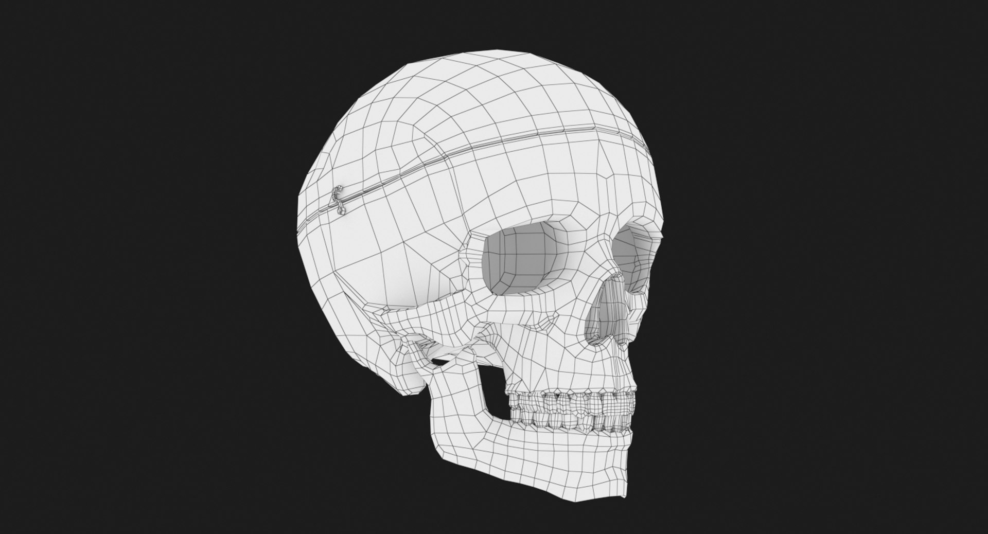 Realistic Skull Anatomical 3D Model - TurboSquid 1421130