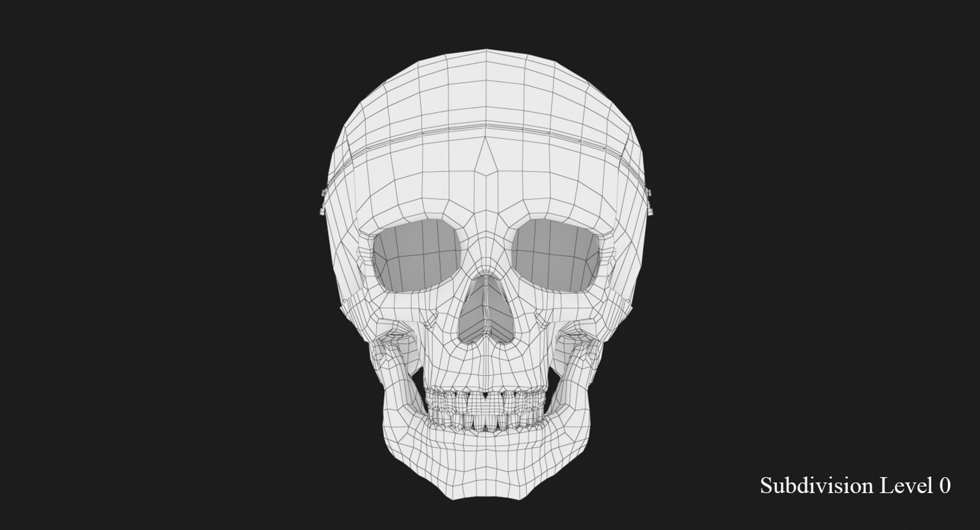 Realistic Skull Anatomical 3D Model - TurboSquid 1421130