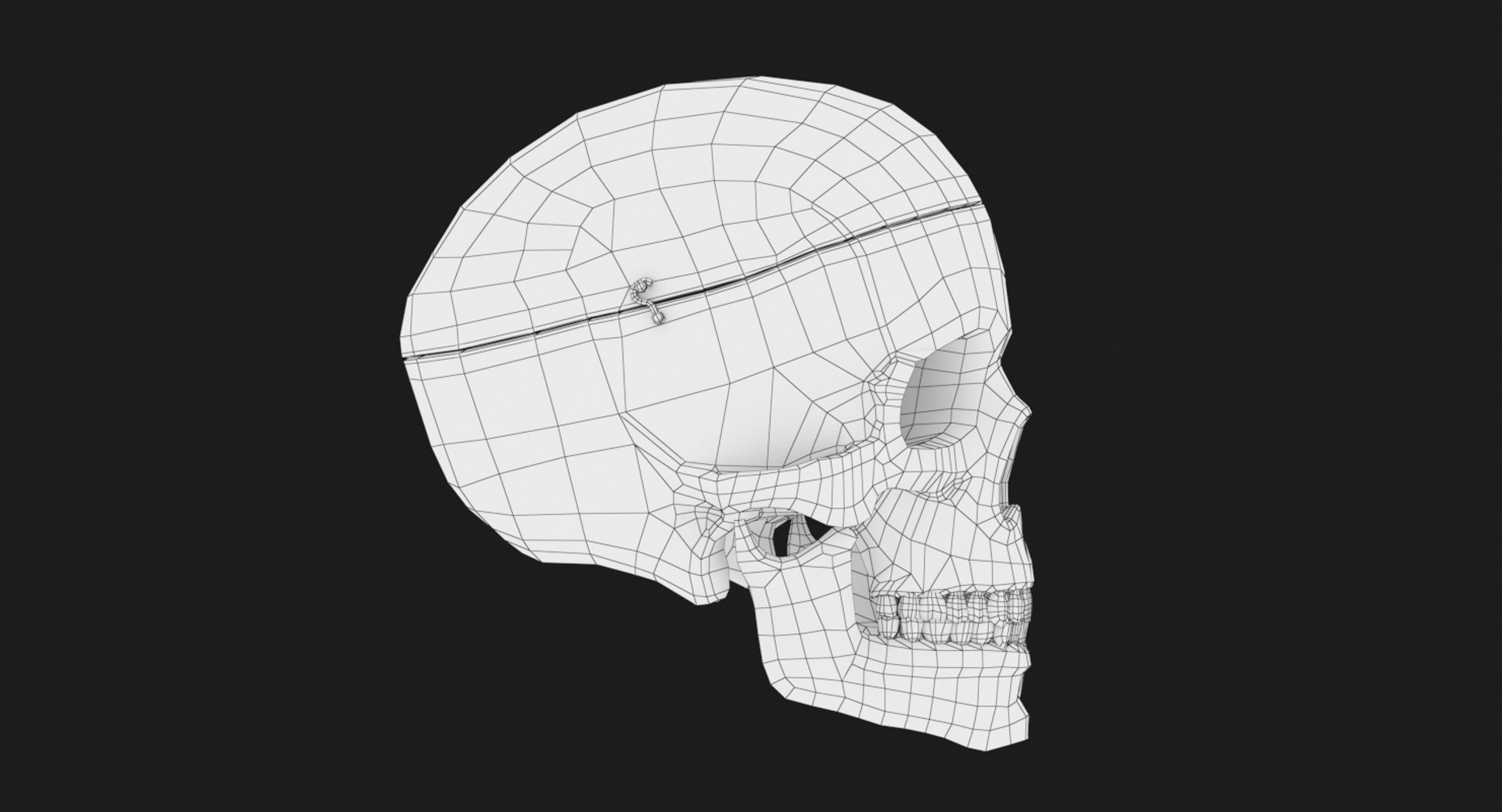 Realistic Skull Anatomical 3D Model - TurboSquid 1421130