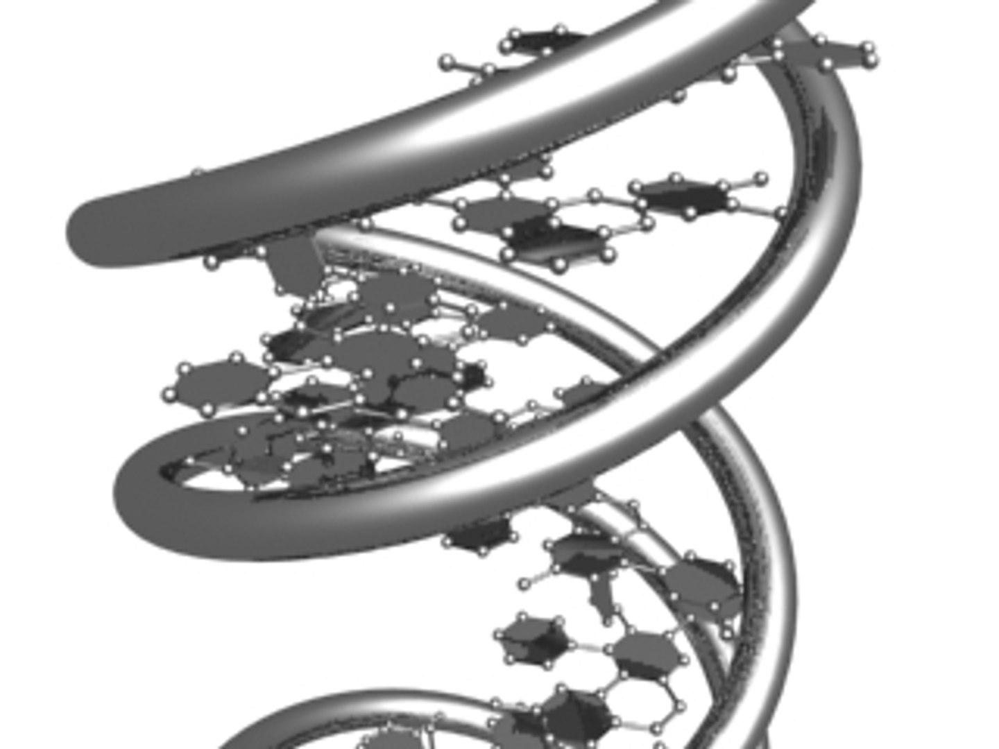 3d Model Dna Chain