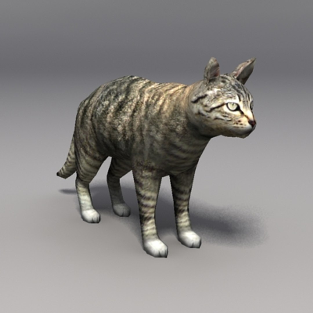 3d Cat Model