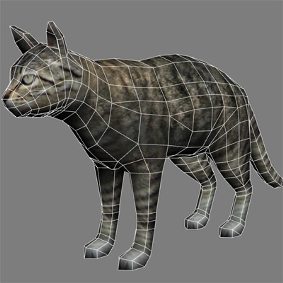 3d Cat Model