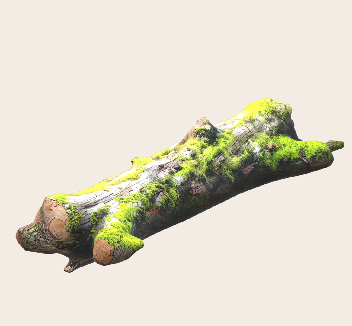 Fallen Log With Moss 3D Model - TurboSquid 2202747