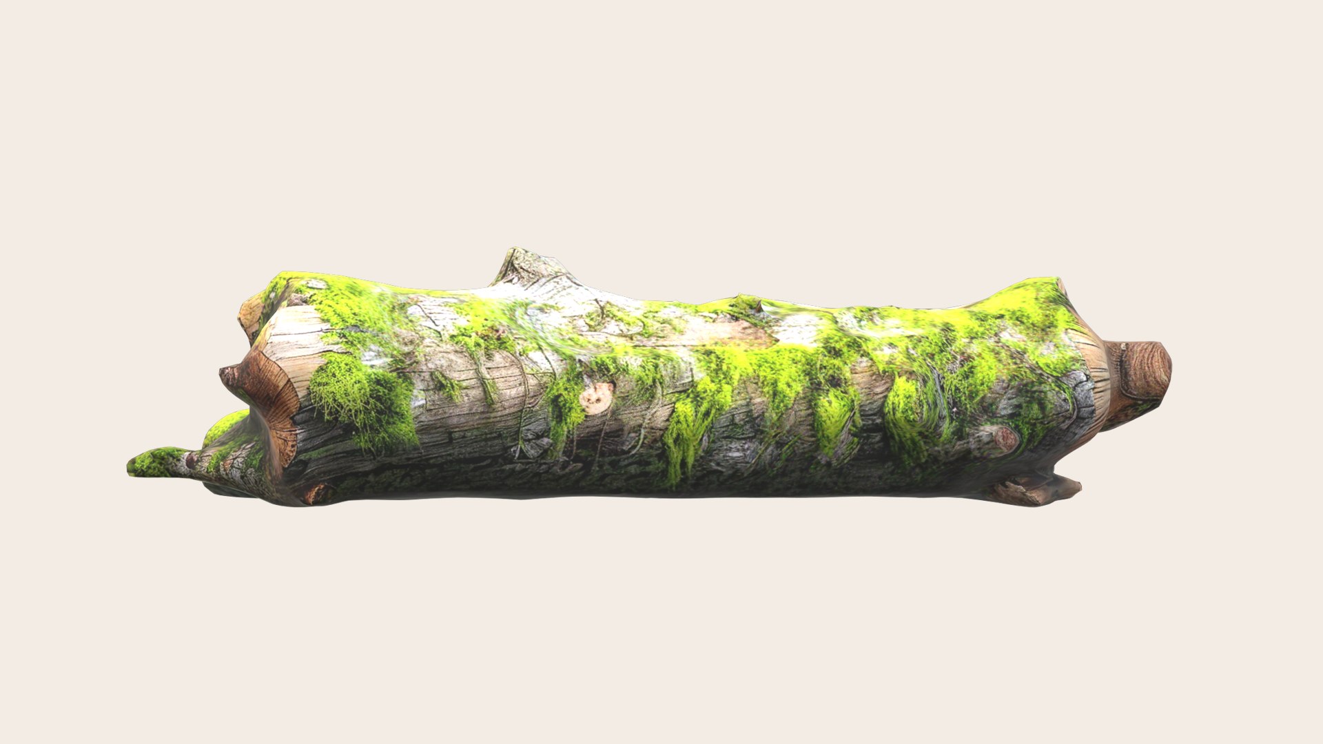 Fallen Log With Moss 3D Model - TurboSquid 2202747