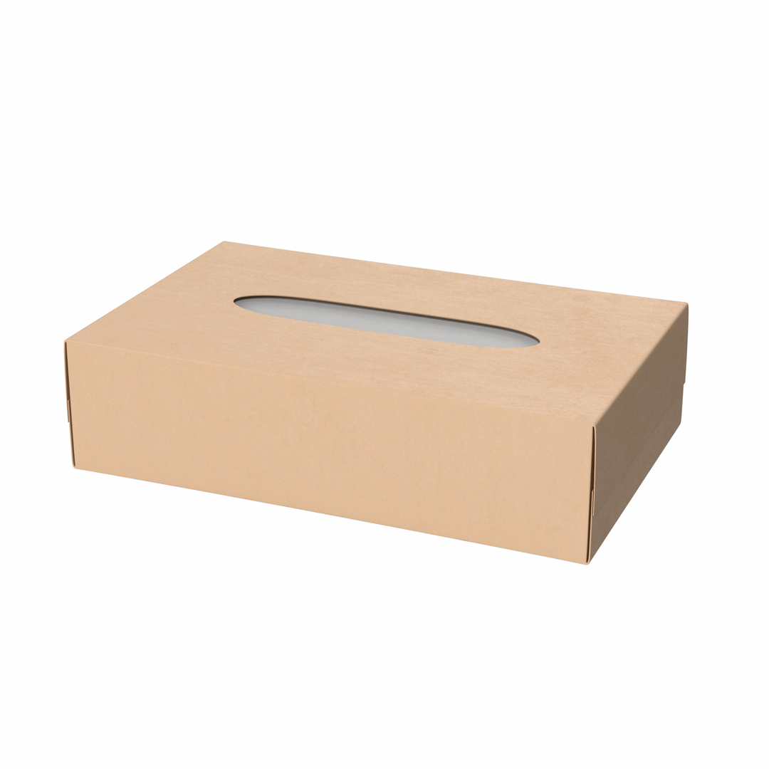 Face Tissue Box Model - TurboSquid 2067383