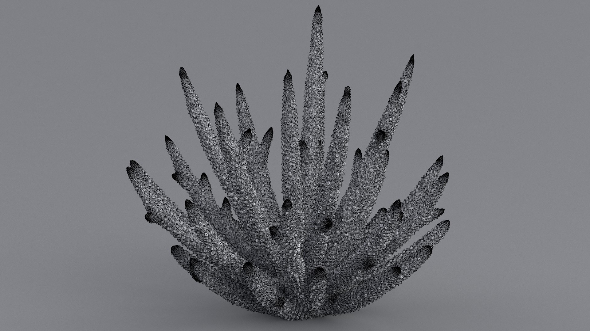 Coral 3 L 3D Model - TurboSquid 1581198