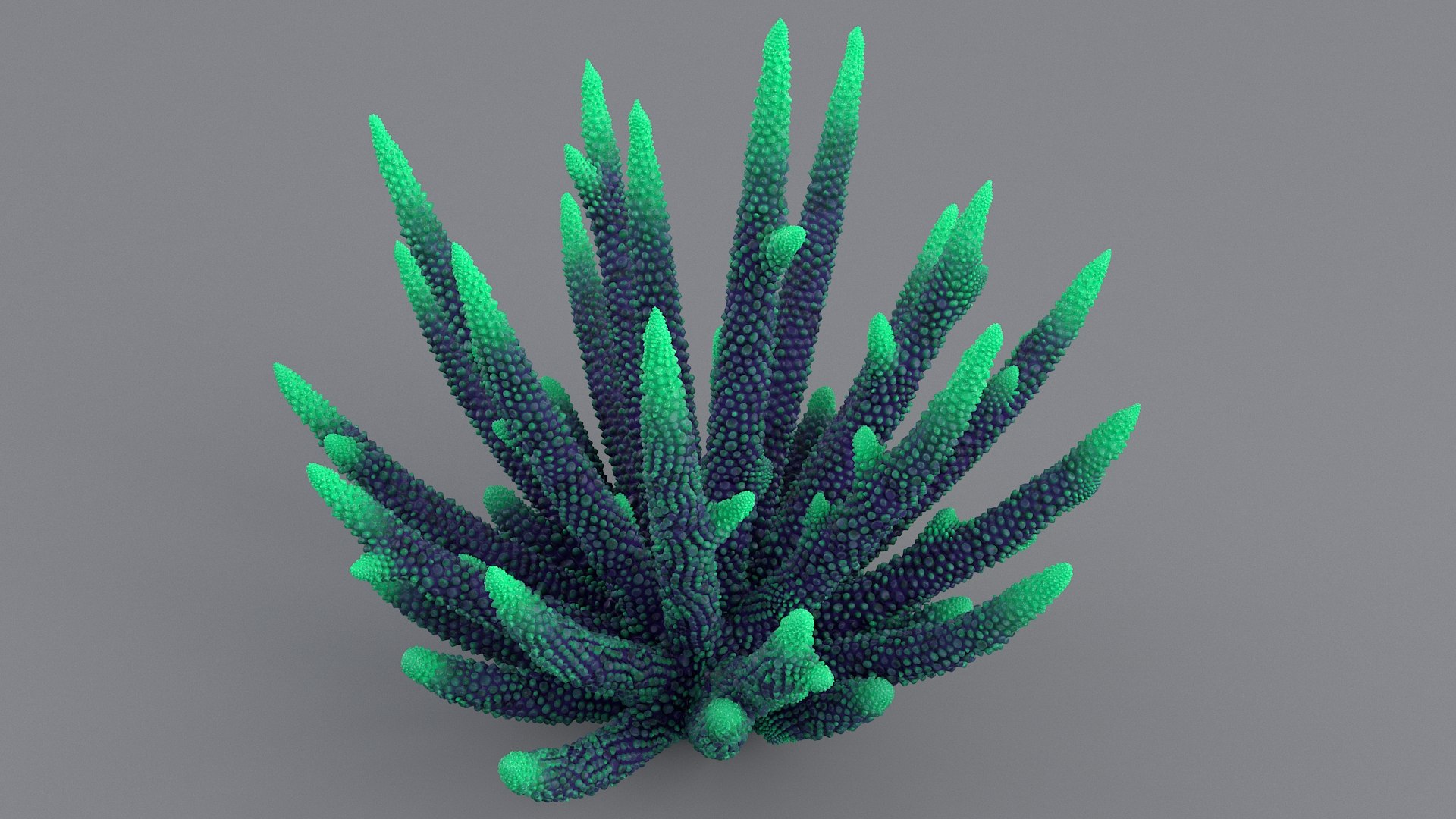 Coral 3 L 3D Model - TurboSquid 1581198