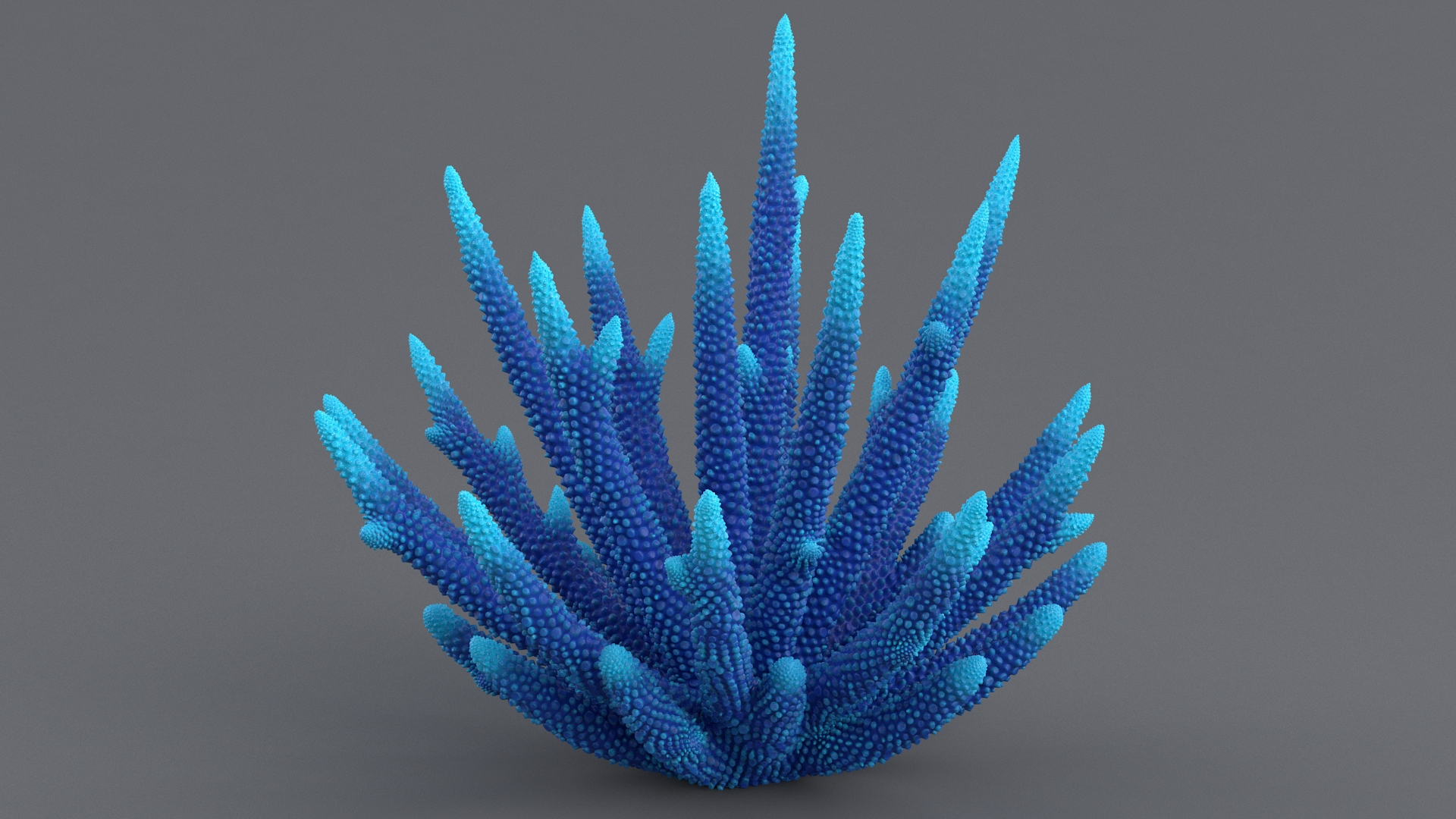 Coral 3 L 3D Model - TurboSquid 1581198