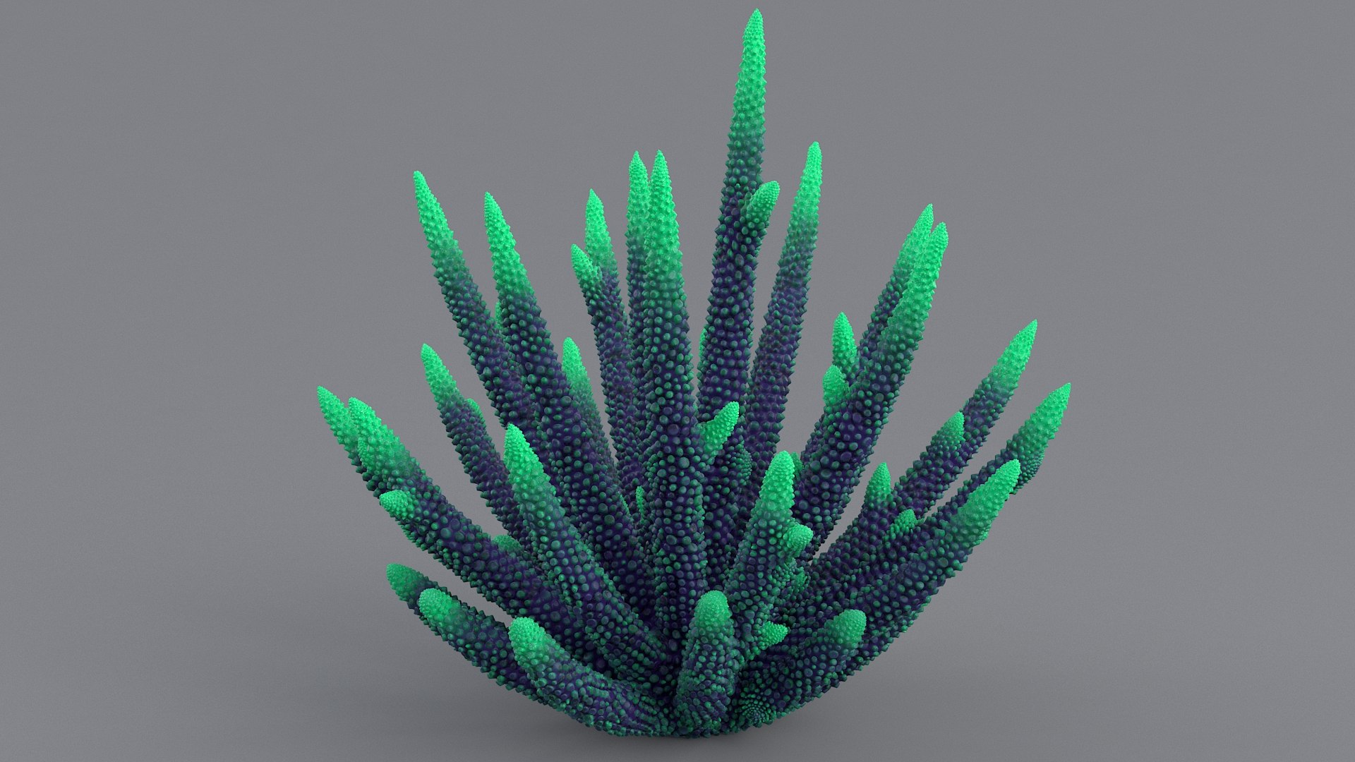 Coral 3 L 3D Model - TurboSquid 1581198