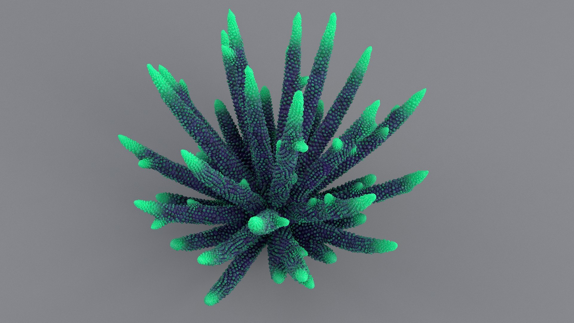 Coral 3 L 3D Model - TurboSquid 1581198