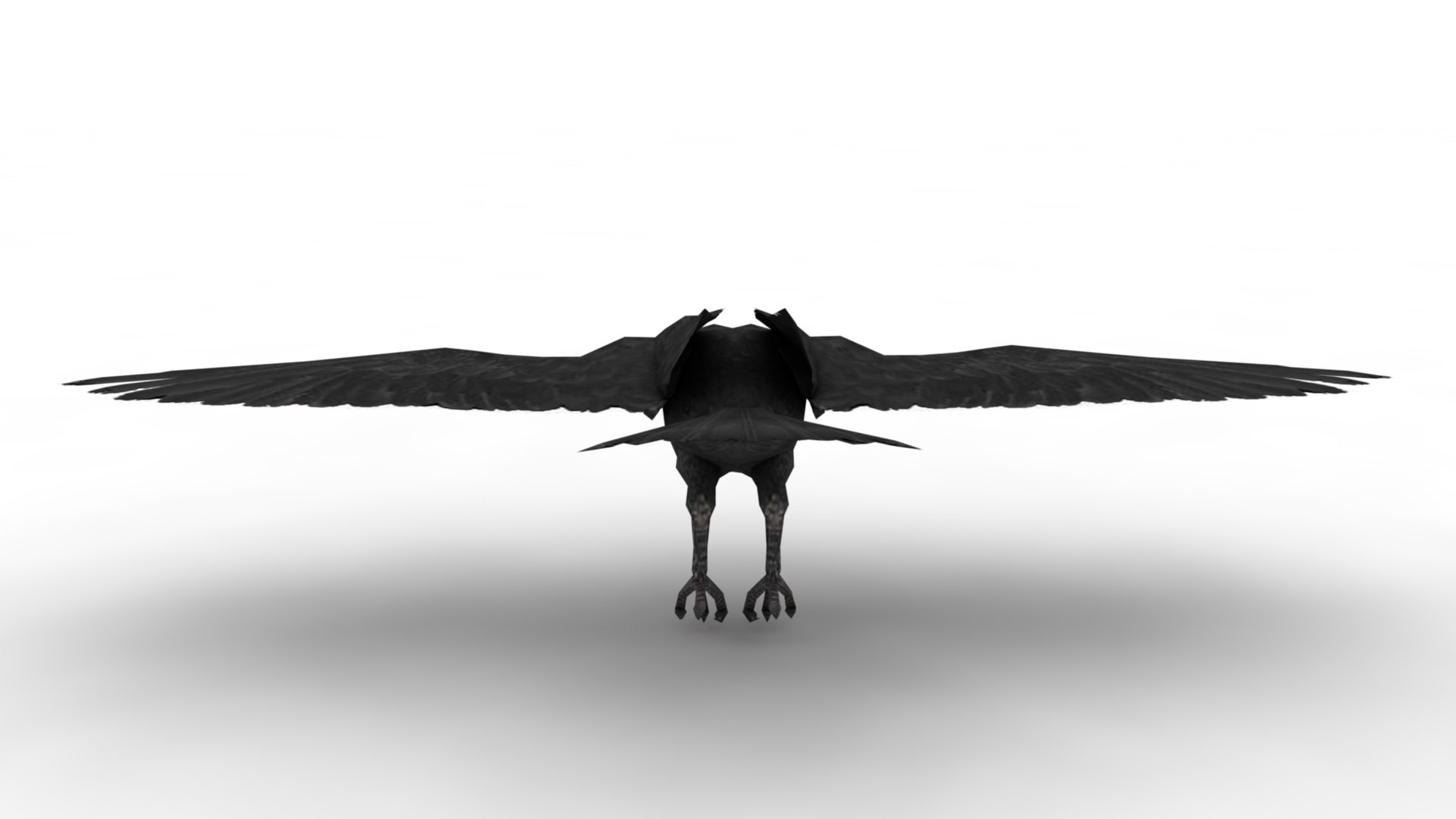 3D Crow Model - TurboSquid 2317972