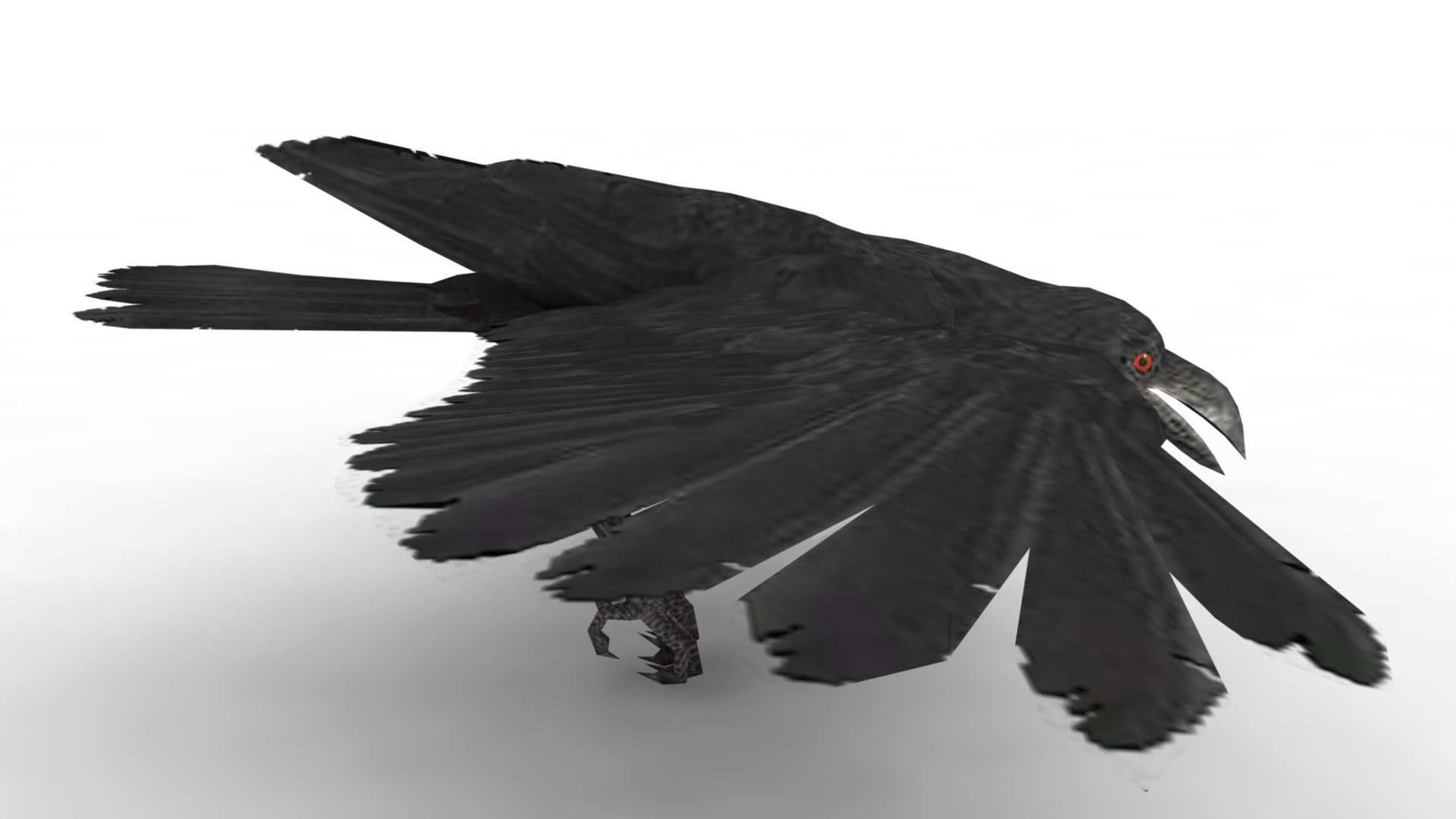 3D Crow Model - TurboSquid 2317972
