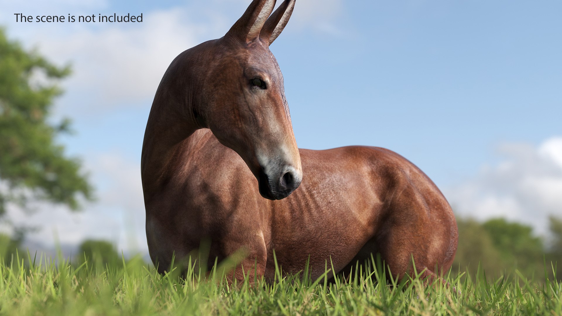 Lying Bay Mule 3D Model - TurboSquid 2279675