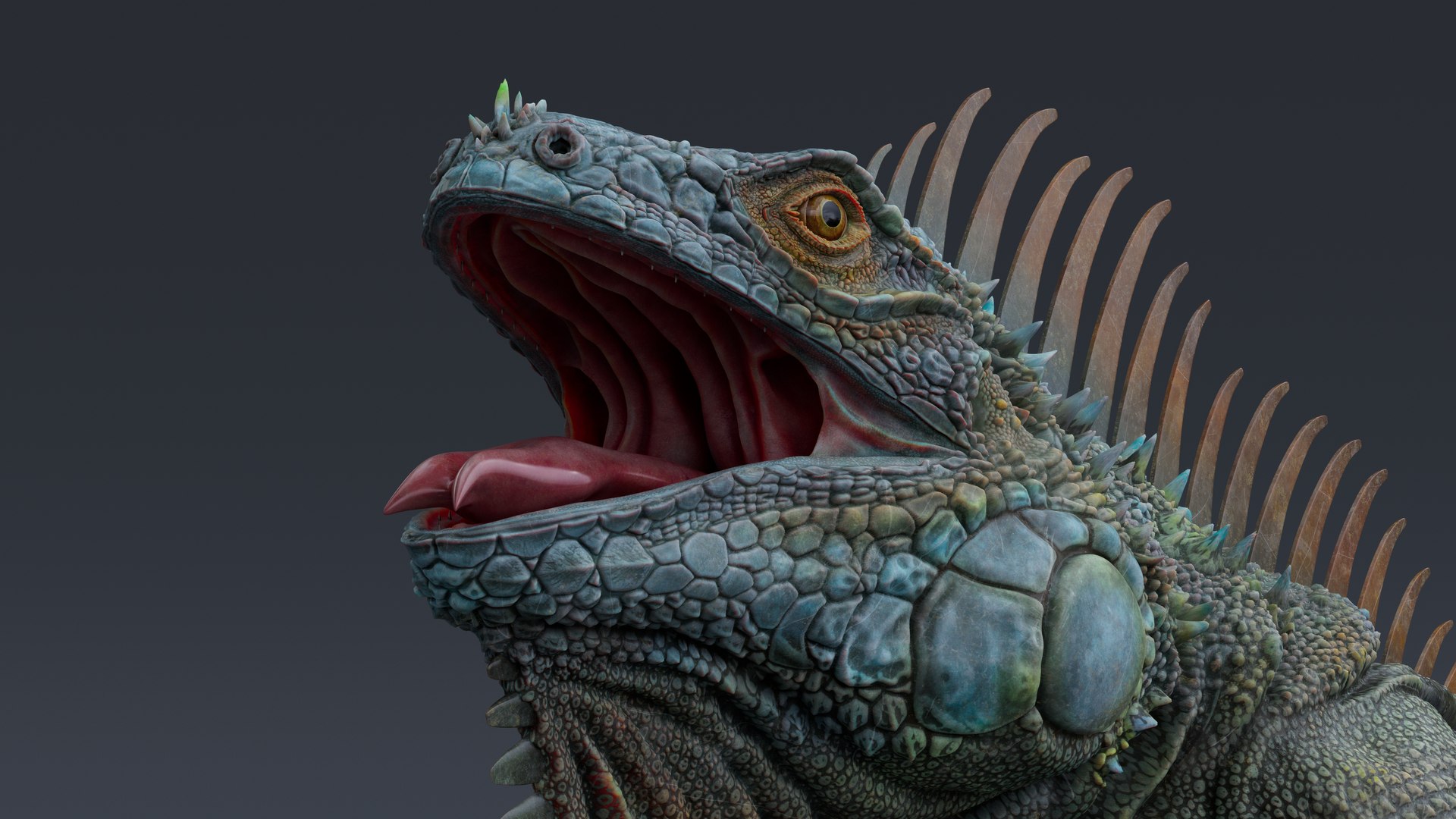 Iguana 3D - TurboSquid 2298549