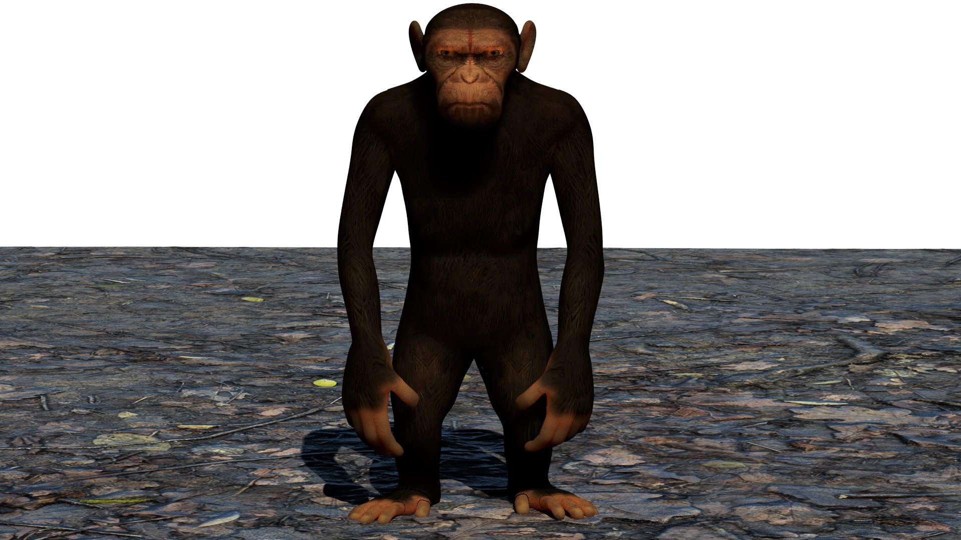 3d - model