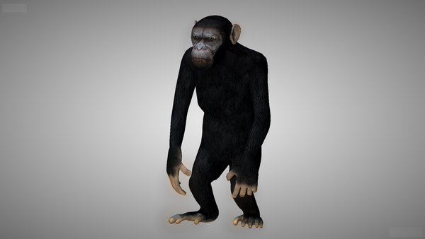 modelo 3d Simio simio - TurboSquid 1016087