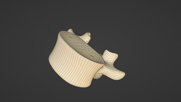 3D 5th Lumbar Vertebra - TurboSquid 2016628