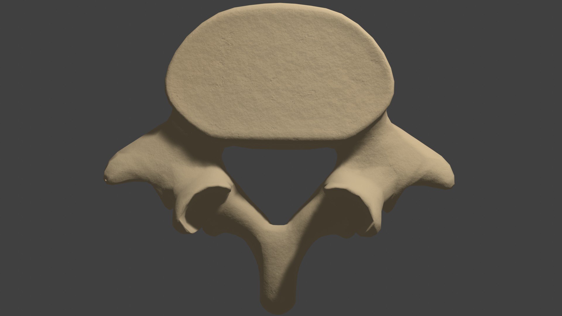 3D 5th Lumbar Vertebra - TurboSquid 2016628
