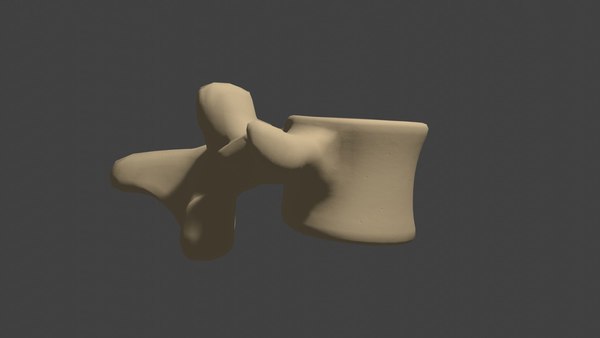 3D 5th Lumbar Vertebra - TurboSquid 2016628