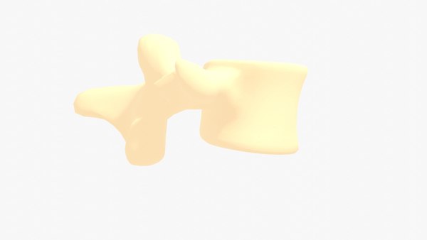 3D 5th Lumbar Vertebra - TurboSquid 2016628