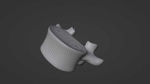 3D 5th Lumbar Vertebra - TurboSquid 2016628