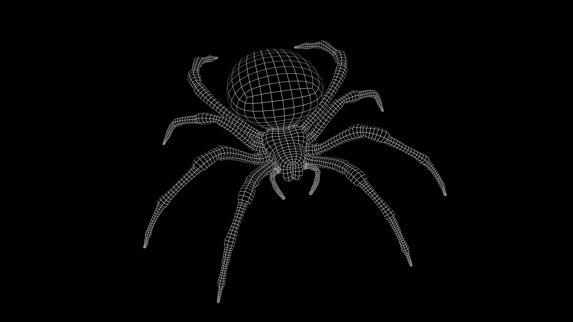 3D Garden Spider Model - TurboSquid 2253371