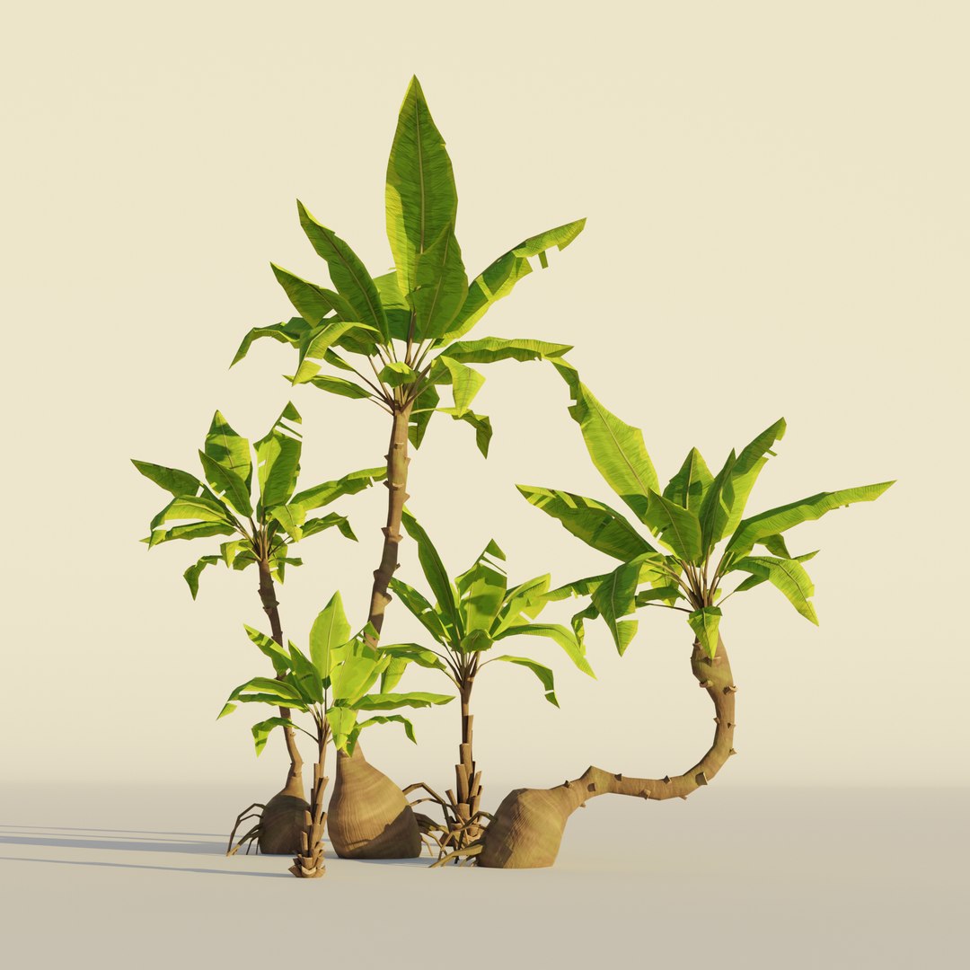 Palm tree set Cartoon Stylized Hand painted 3D model - TurboSquid 1816526