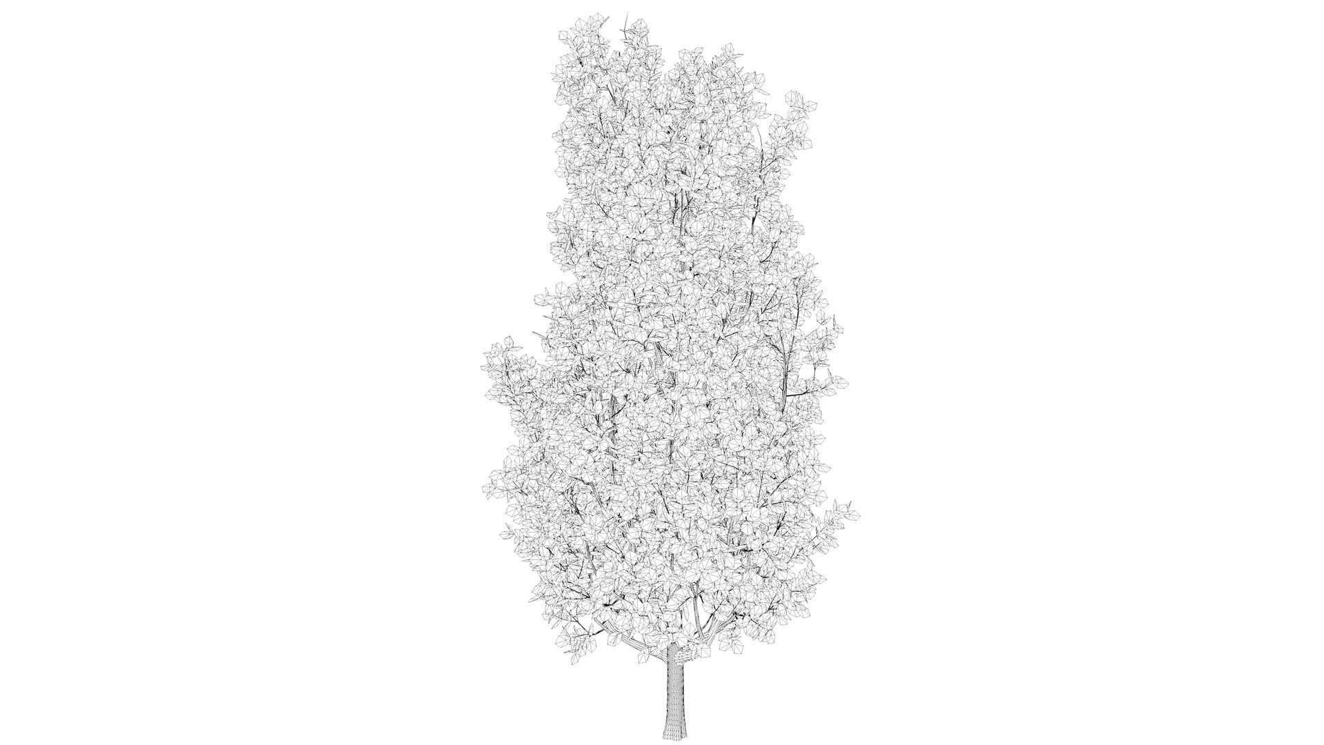 Cypress Oak Tree - 08 - 3D Model - TurboSquid 2375801