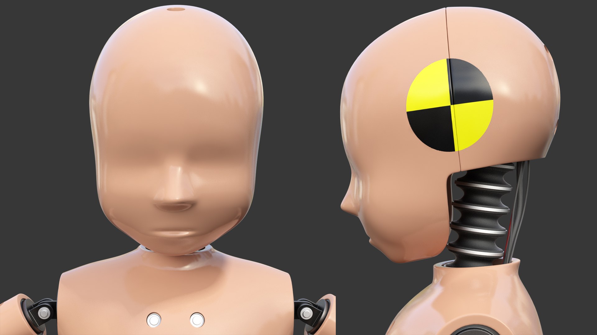 Child Crash Test Dummy 3D Model - TurboSquid 1491811