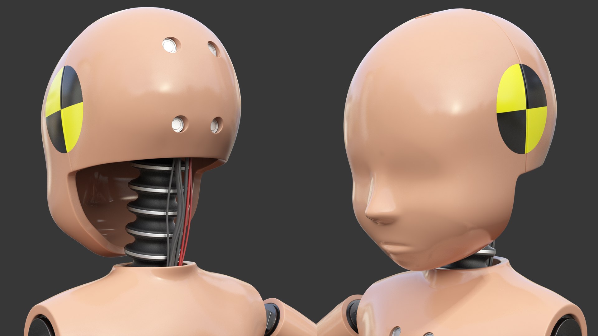 Child Crash Test Dummy 3D Model - TurboSquid 1491811