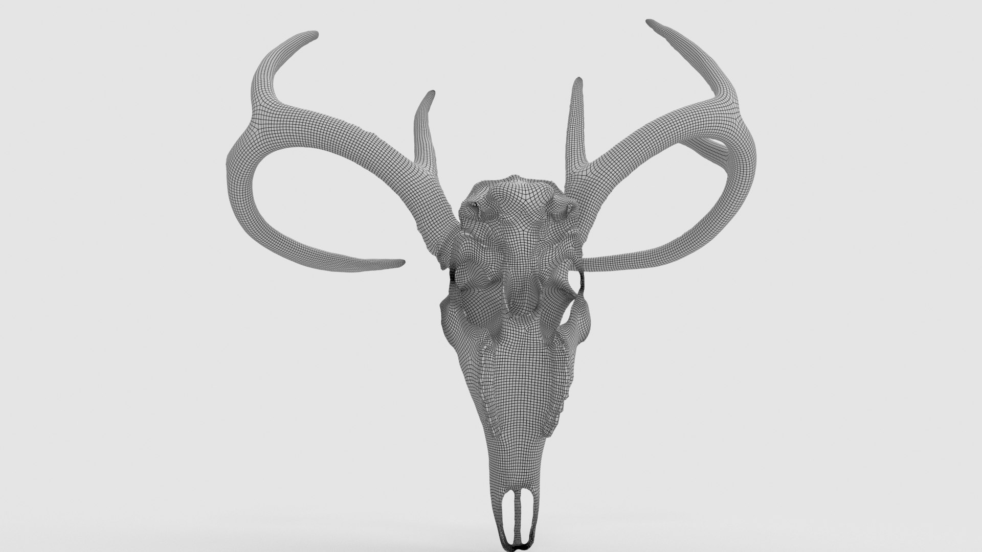 Deer Skull 3D Model - TurboSquid 1895213